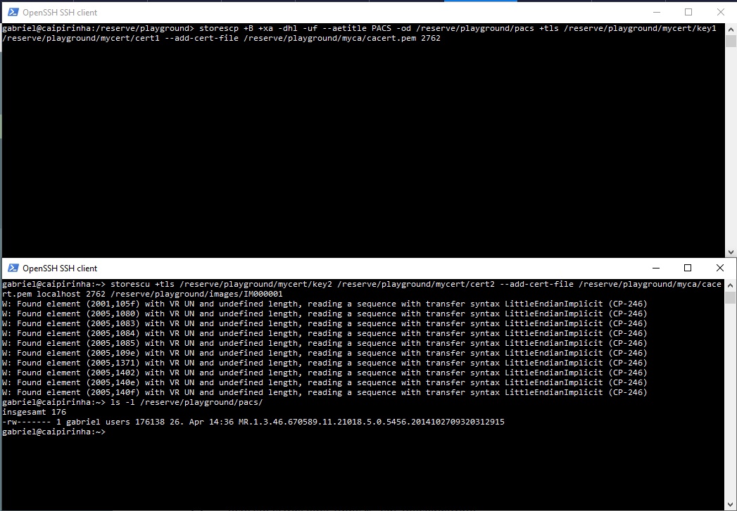 DICOM Experiments with dcmtk and TLS – Gabriel Rüeck